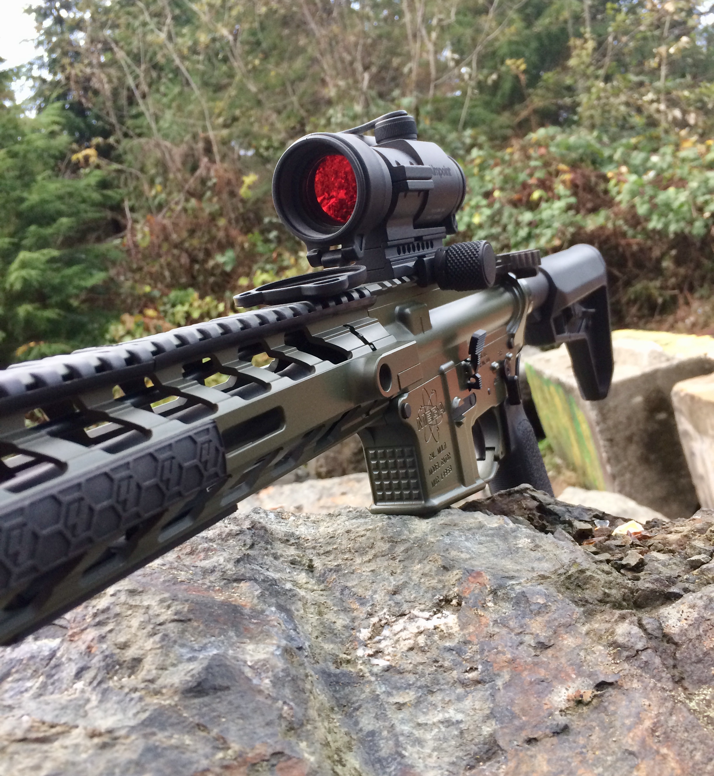 Optics / RDS / Iron Sights Photo Gallery - Page 42